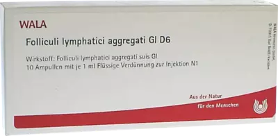 Folliculi lymphatici aggregati Gl D6 Ampullen 10X1 ml Ampullen | 02876400